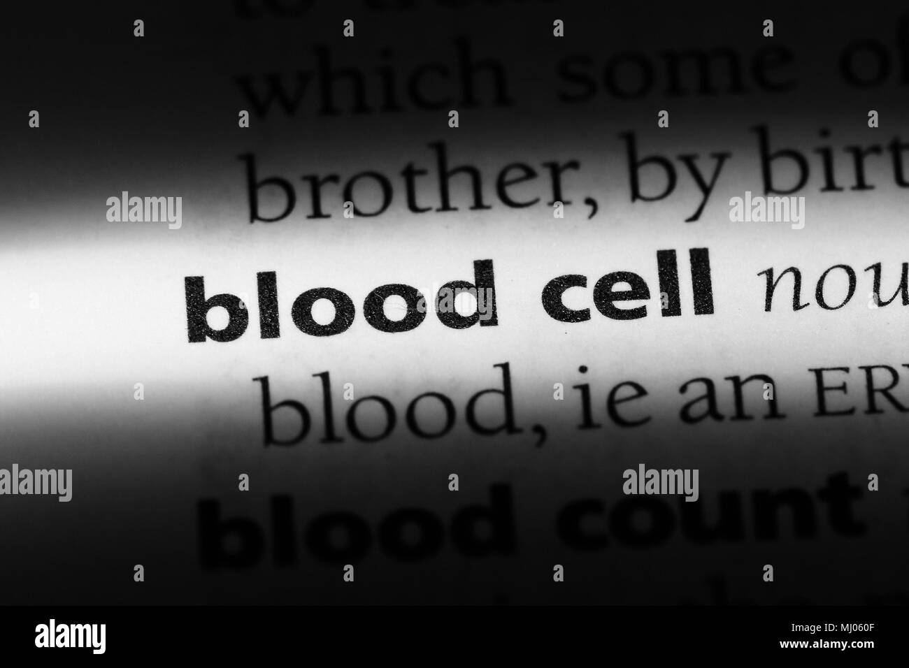 blood cell word in a dictionary. blood cell concept Stock Photo - Alamy