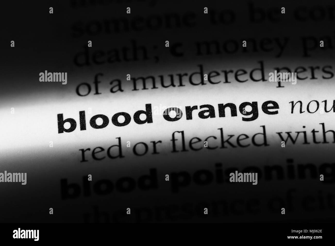 blood orange word in a dictionary. blood orange concept Stock Photo - Alamy