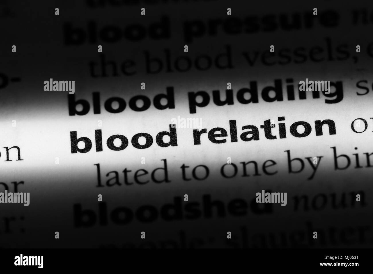 blood relation word in a dictionary. blood relation concept Stock Photo ...