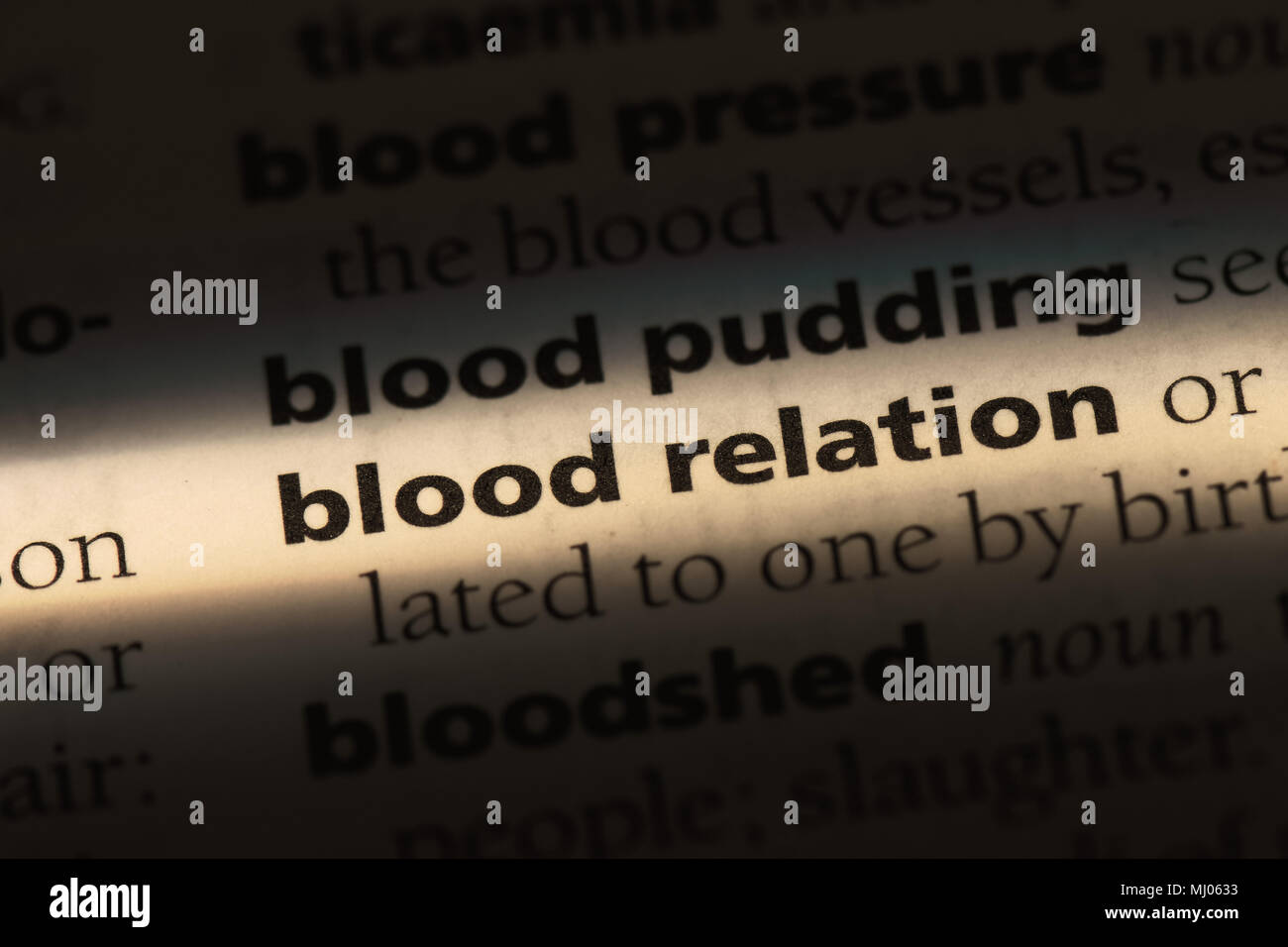 blood relation word in a dictionary. blood relation concept Stock Photo ...
