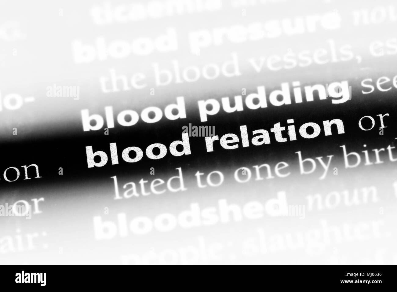 blood relation word in a dictionary. blood relation concept Stock Photo ...