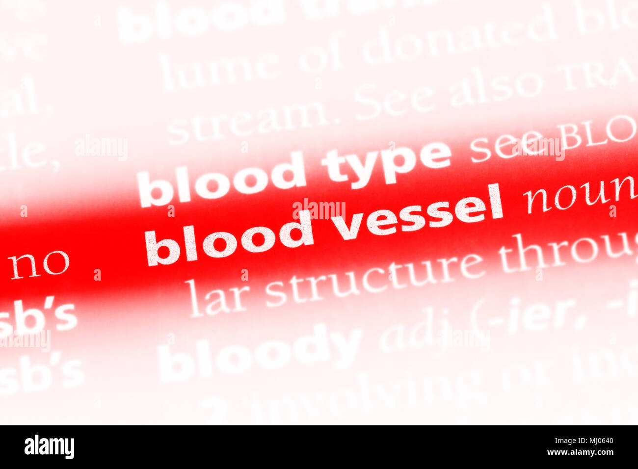 blood vessel word in a dictionary. blood vessel concept Stock Photo - Alamy