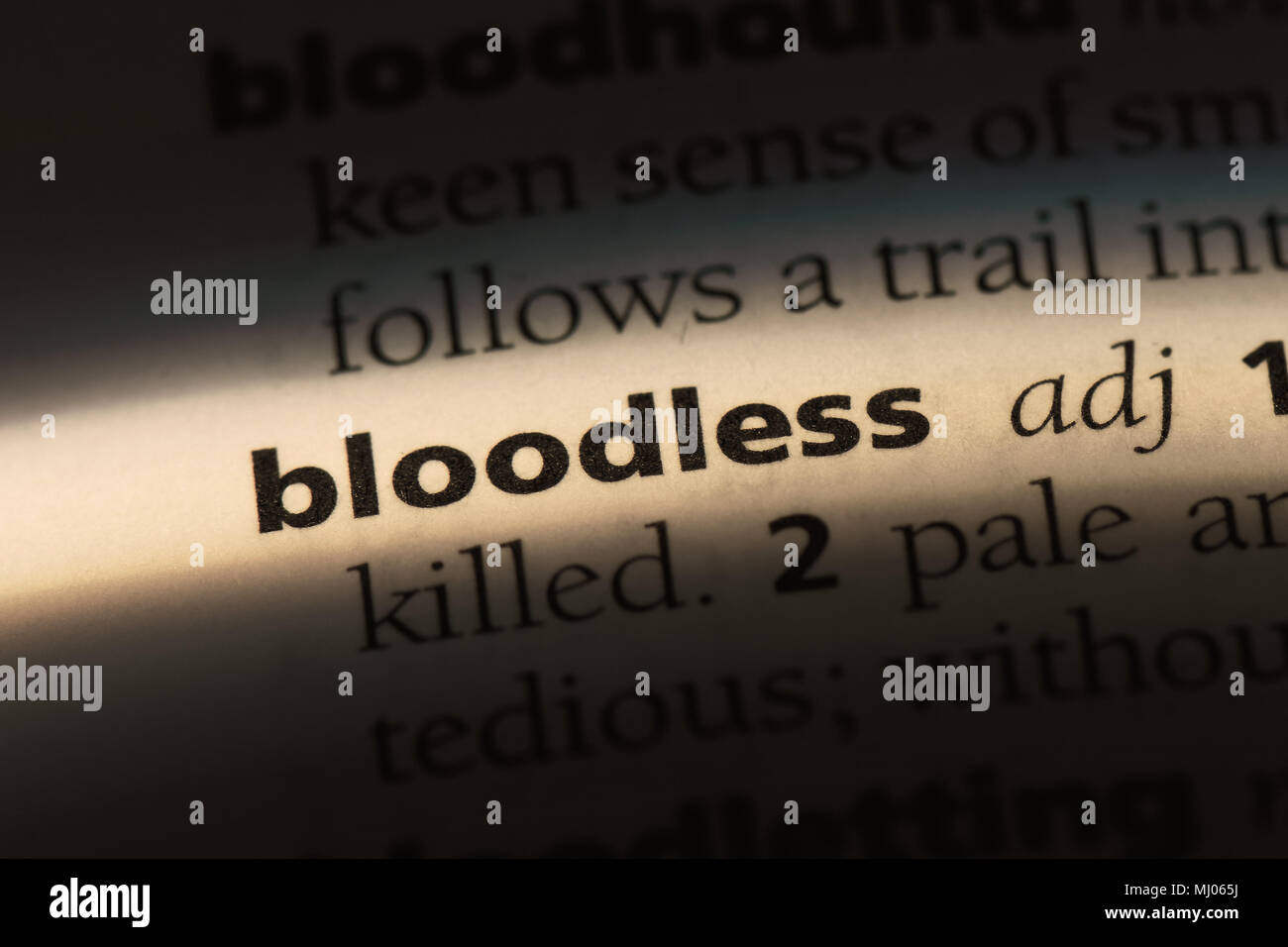 bloodless word in a dictionary. bloodless concept Stock Photo - Alamy