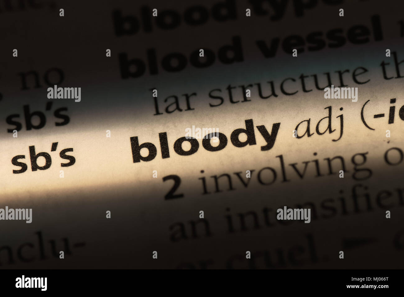 bloody word in a dictionary. bloody concept Stock Photo - Alamy