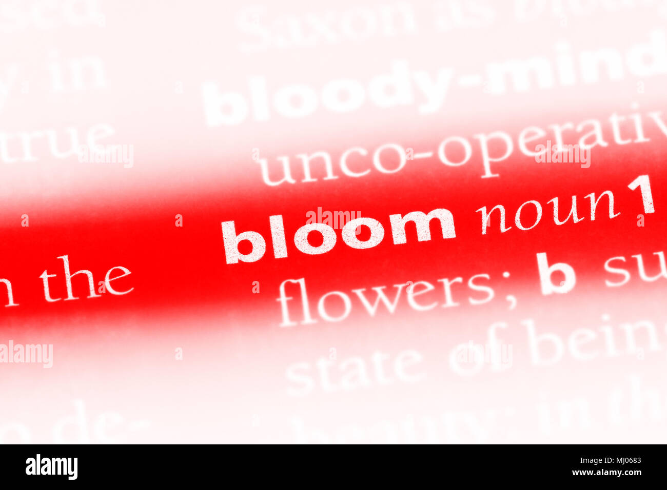 bloom word in a dictionary. bloom concept Stock Photo - Alamy