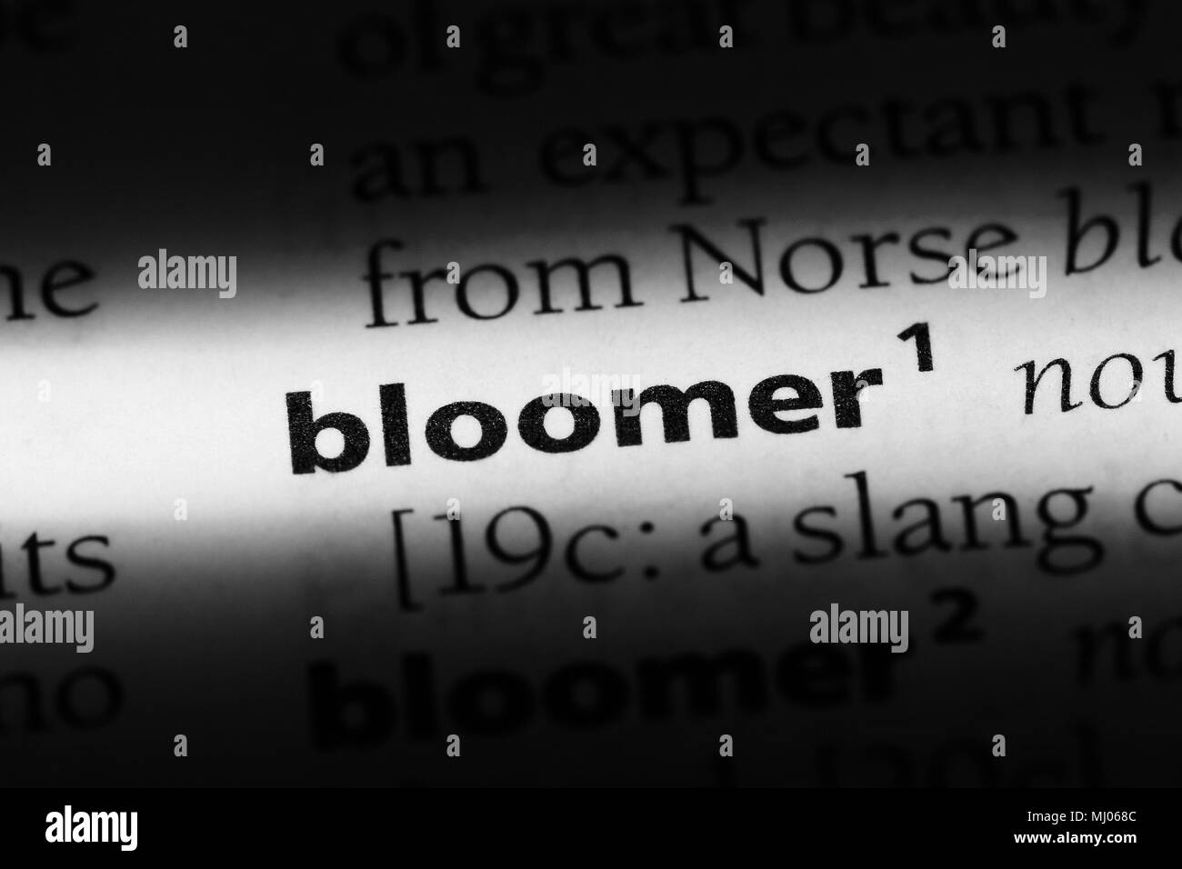 bloomer word in a dictionary. bloomer concept Stock Photo - Alamy