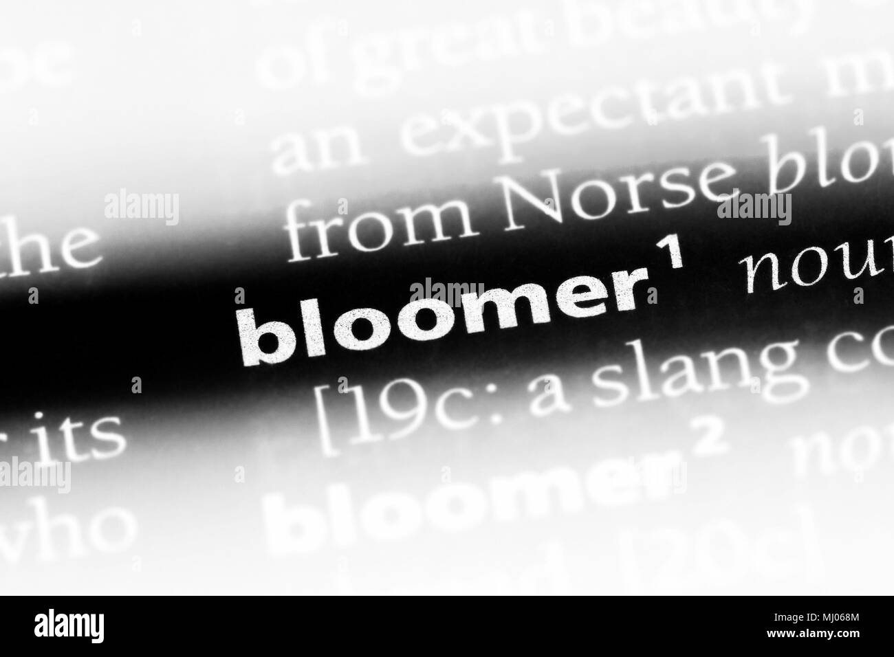 bloomer word in a dictionary. bloomer concept Stock Photo - Alamy
