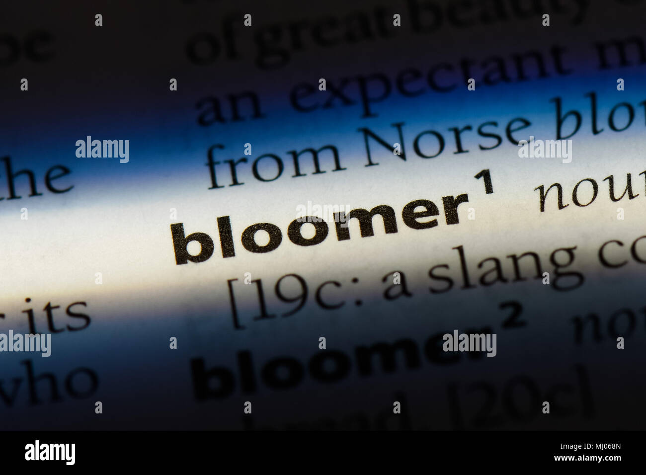 bloomer word in a dictionary. bloomer concept Stock Photo - Alamy