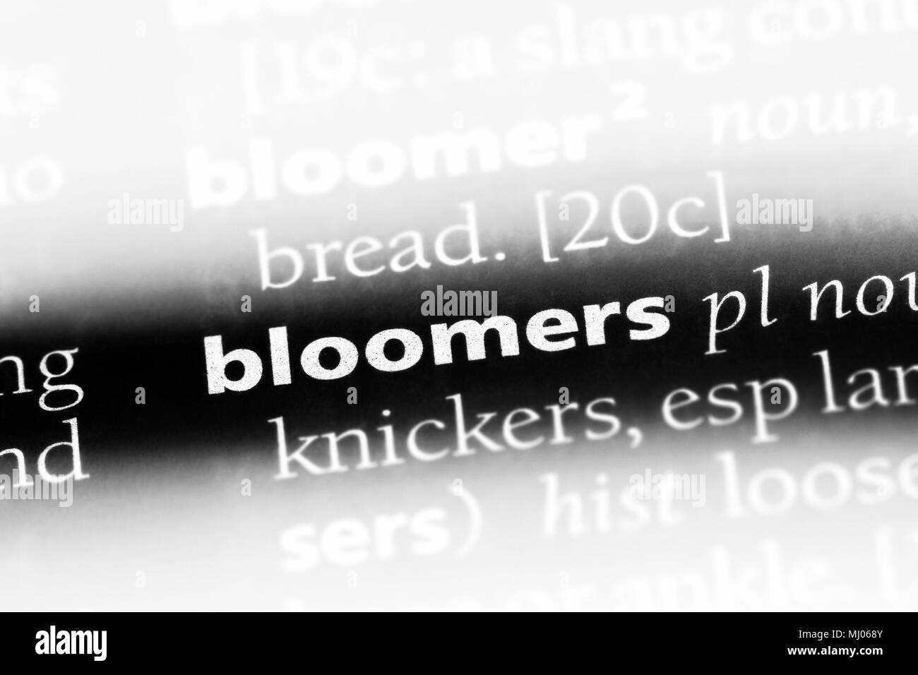 bloomers word in a dictionary. bloomers concept Stock Photo - Alamy