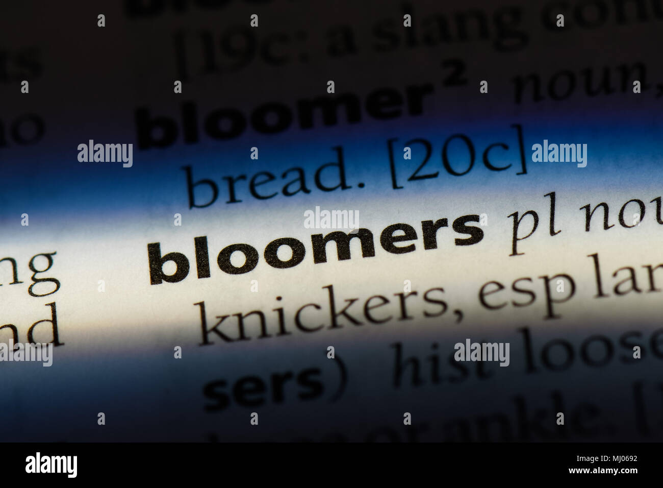 bloomers word in a dictionary. bloomers concept Stock Photo - Alamy