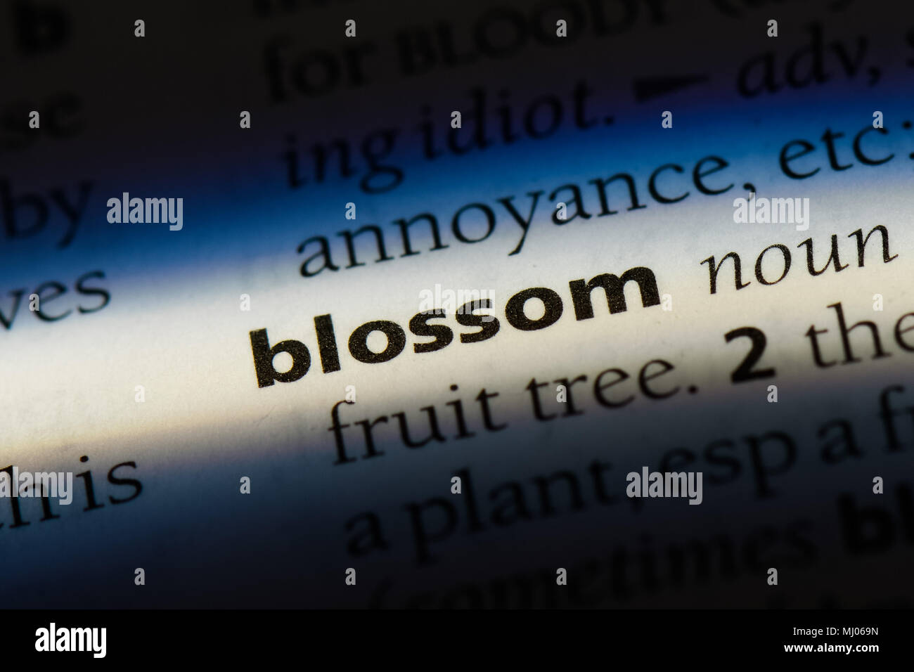 blossom word in a dictionary. blossom concept Stock Photo - Alamy