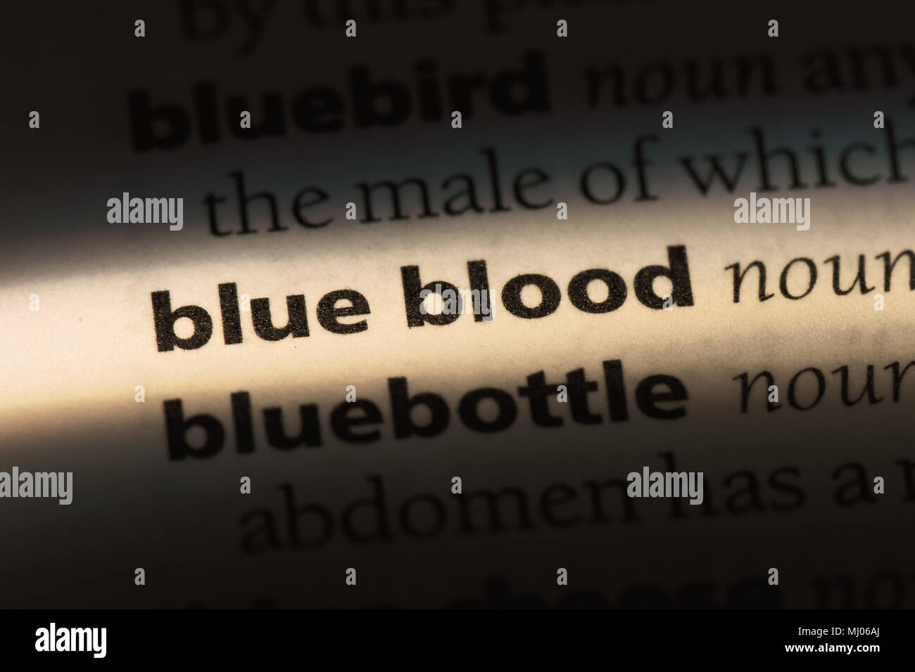 blue blood word in a dictionary. blue blood concept Stock Photo - Alamy