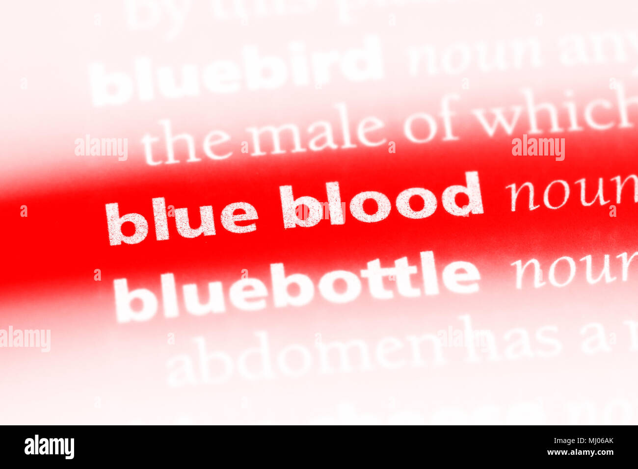 blue blood word in a dictionary. blue blood concept Stock Photo - Alamy
