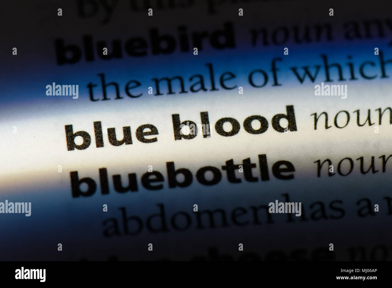 blue blood word in a dictionary. blue blood concept Stock Photo - Alamy