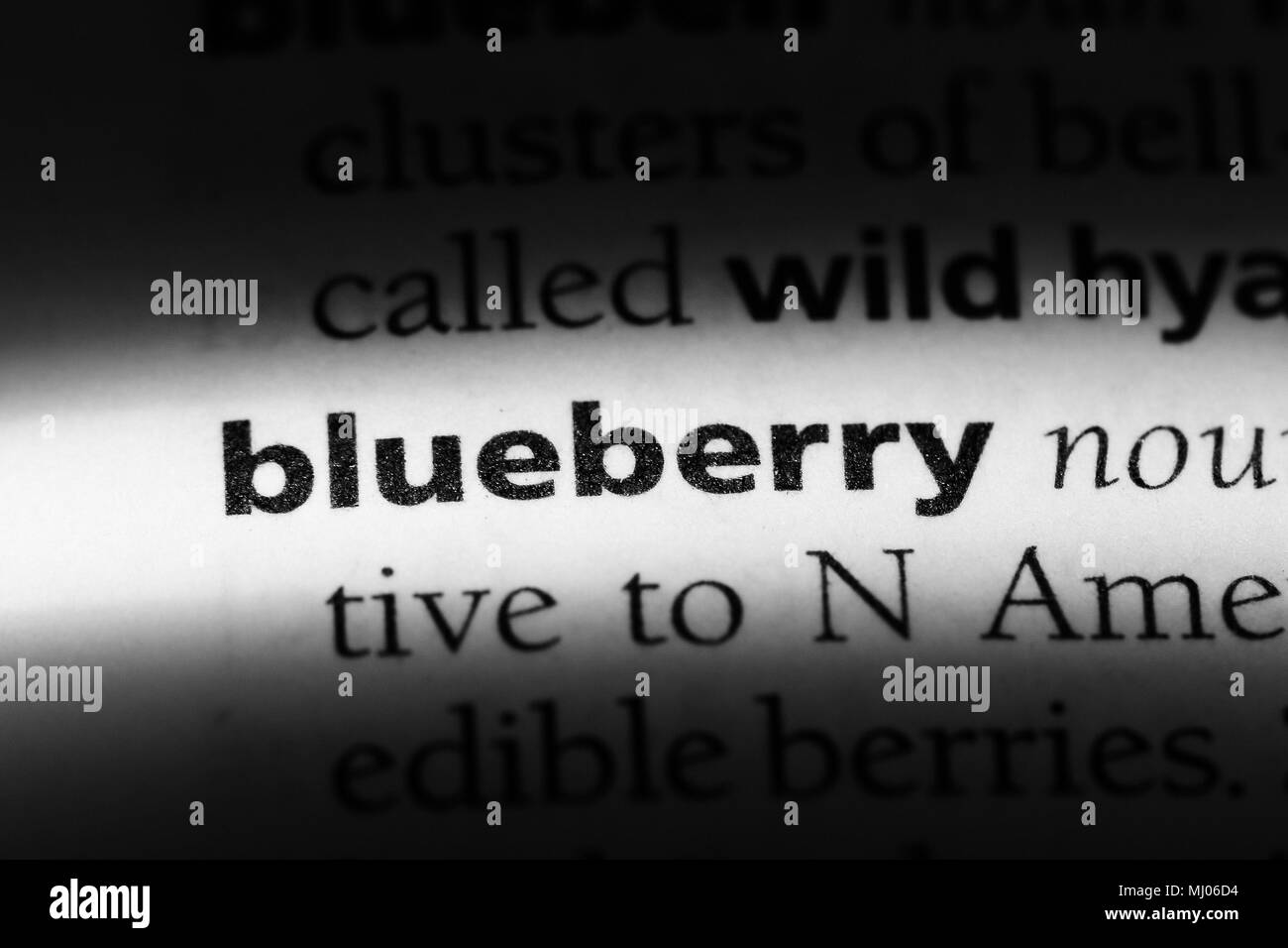 blueberry word in a dictionary. blueberry concept Stock Photo - Alamy