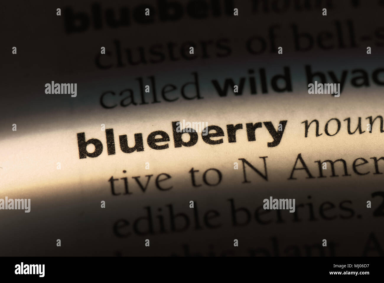 blueberry word in a dictionary. blueberry concept Stock Photo - Alamy