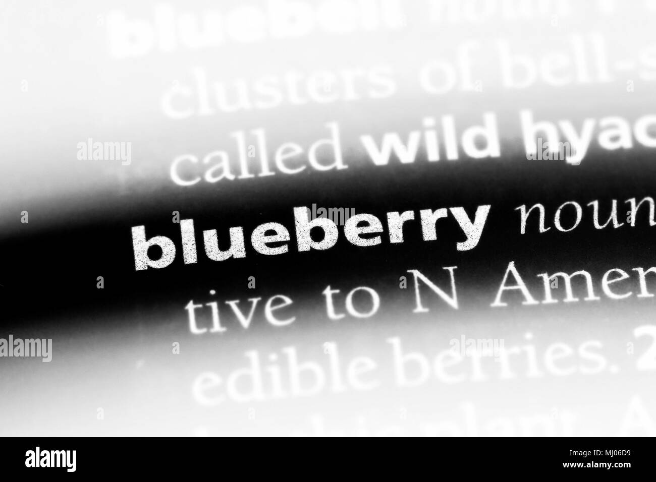 blueberry word in a dictionary. blueberry concept Stock Photo - Alamy