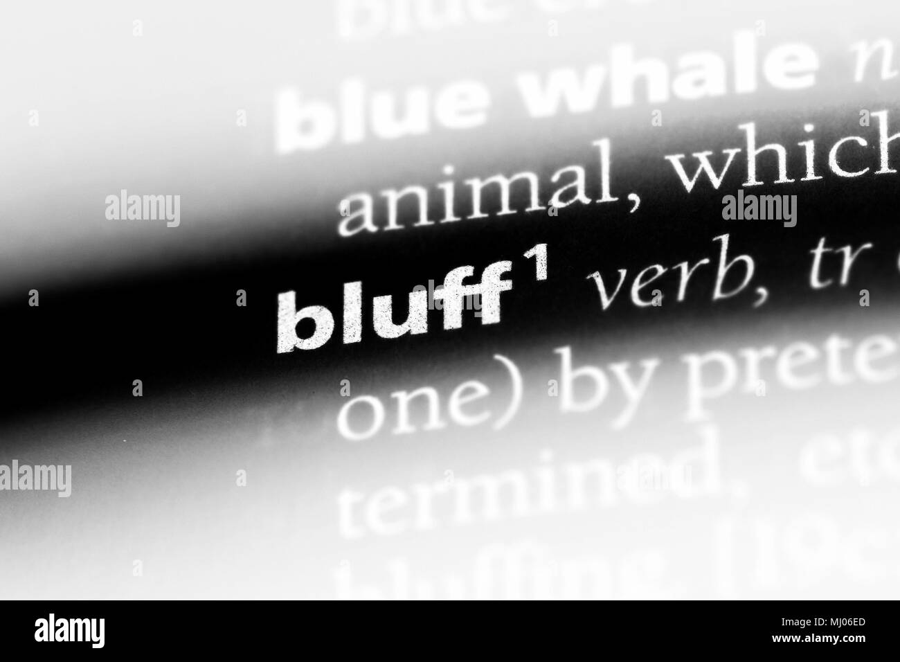 bluff word in a dictionary. bluff concept Stock Photo - Alamy