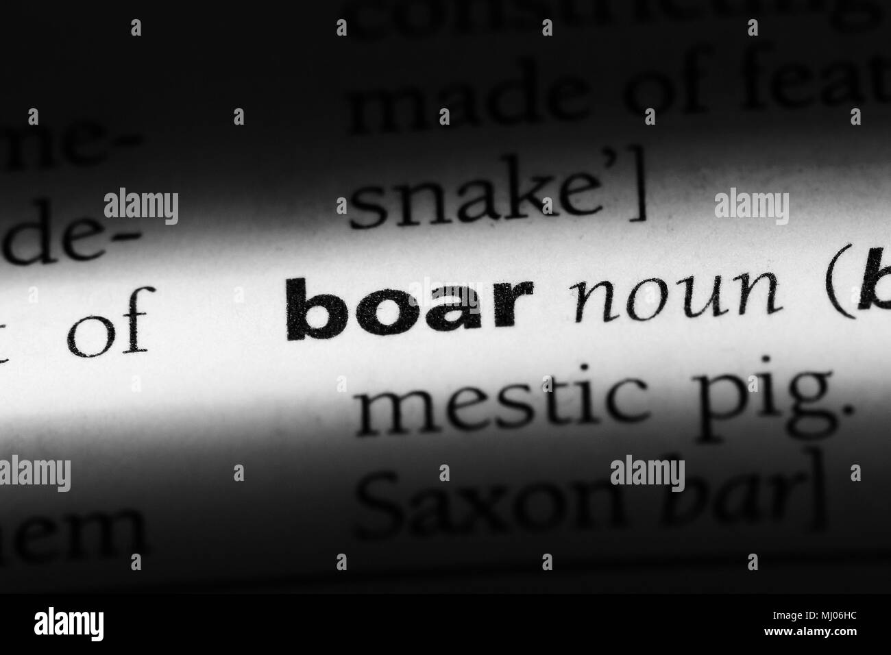 boar word in a dictionary. boar concept Stock Photo - Alamy