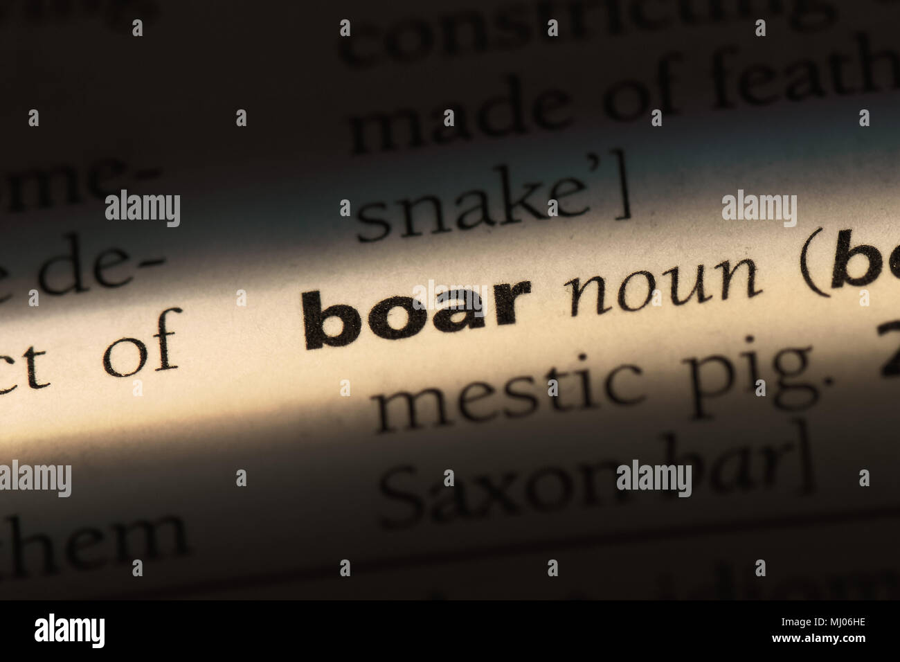 boar word in a dictionary. boar concept Stock Photo - Alamy