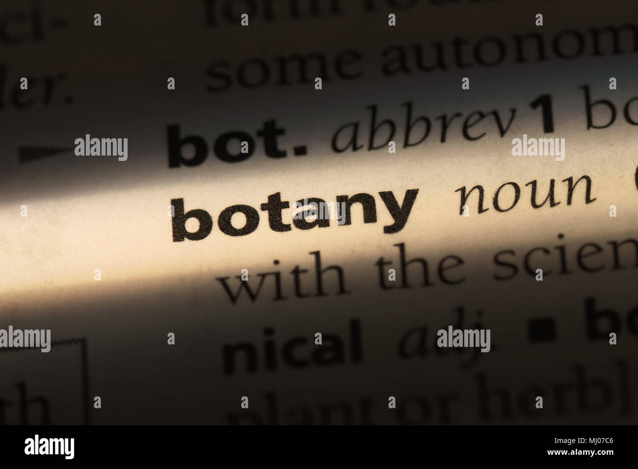 Botany concept hi-res stock photography and images - Alamy
