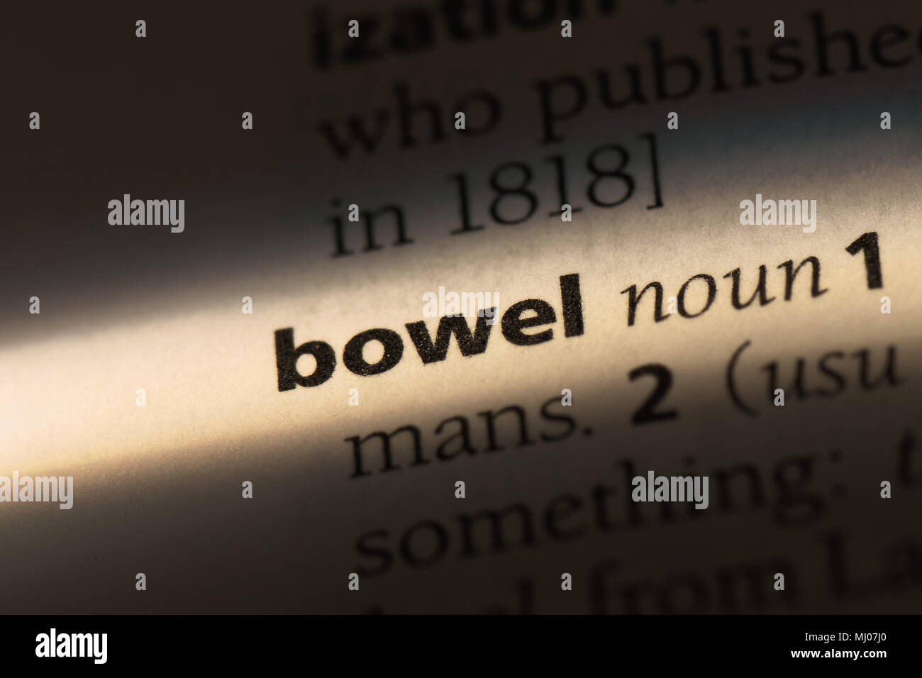bowel word in a dictionary. bowel concept Stock Photo - Alamy
