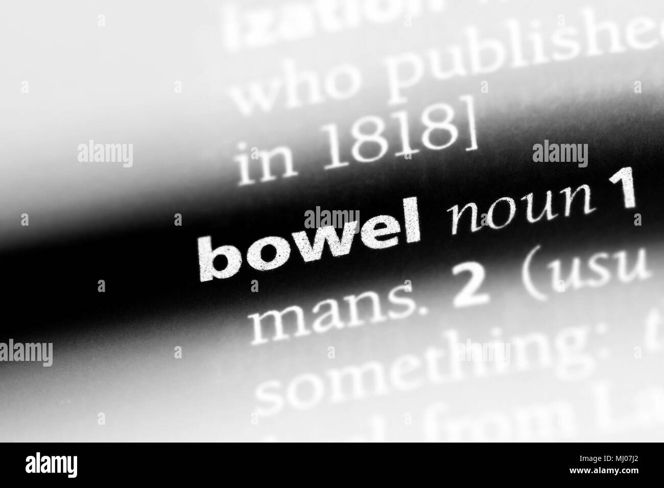 bowel word in a dictionary. bowel concept Stock Photo - Alamy