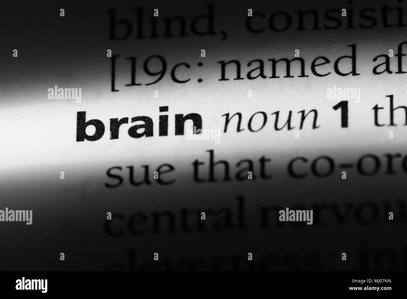 brain word in a dictionary. brain concept Stock Photo - Alamy