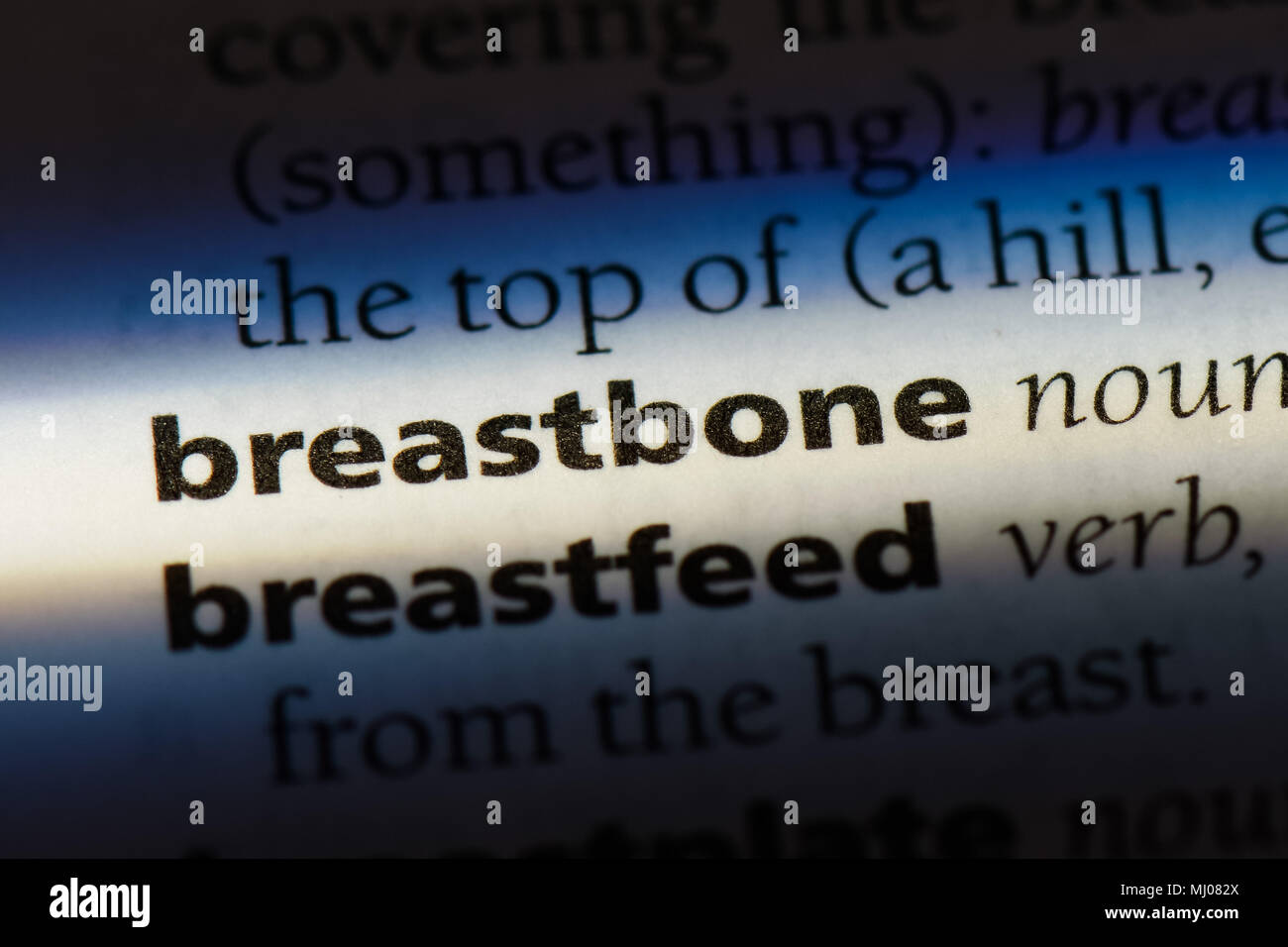 Breastbone hi-res stock photography and images - Alamy