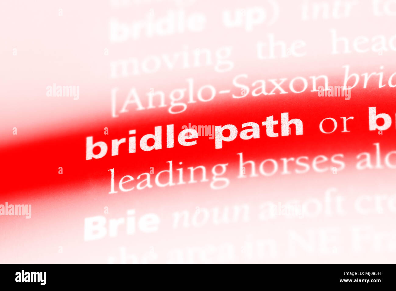bridle path word in a dictionary. bridle path concept Stock Photo - Alamy