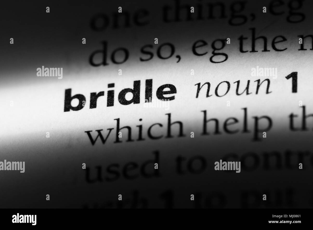 bridle word in a dictionary. bridle concept Stock Photo - Alamy