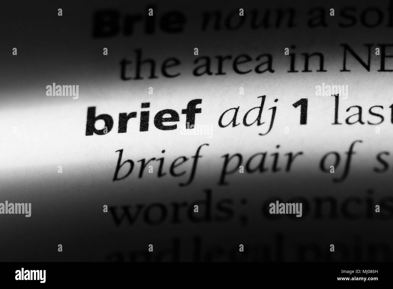 brief word in a dictionary. brief concept Stock Photo - Alamy