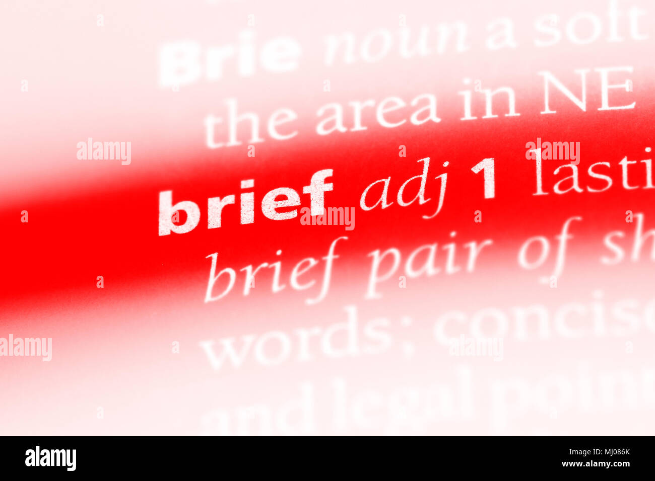 brief word in a dictionary. brief concept Stock Photo - Alamy