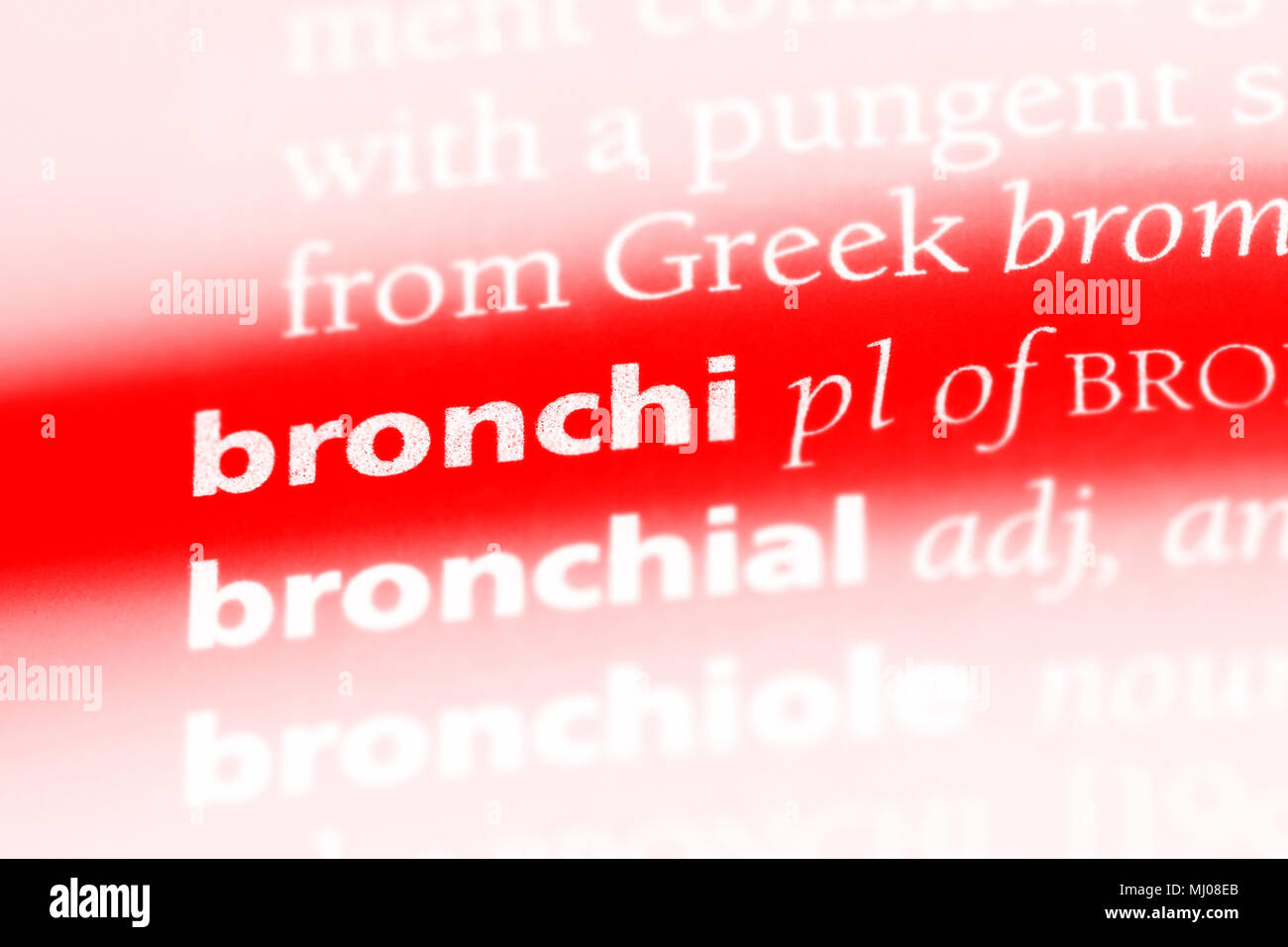 bronchi word in a dictionary. bronchi concept Stock Photo - Alamy