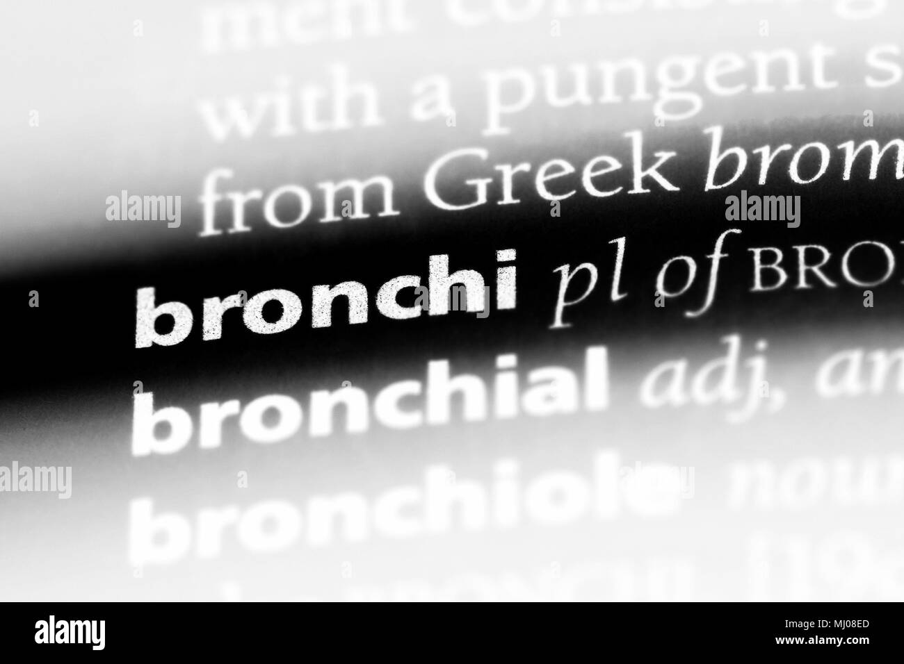 In bronchi hi-res stock photography and images - Alamy
