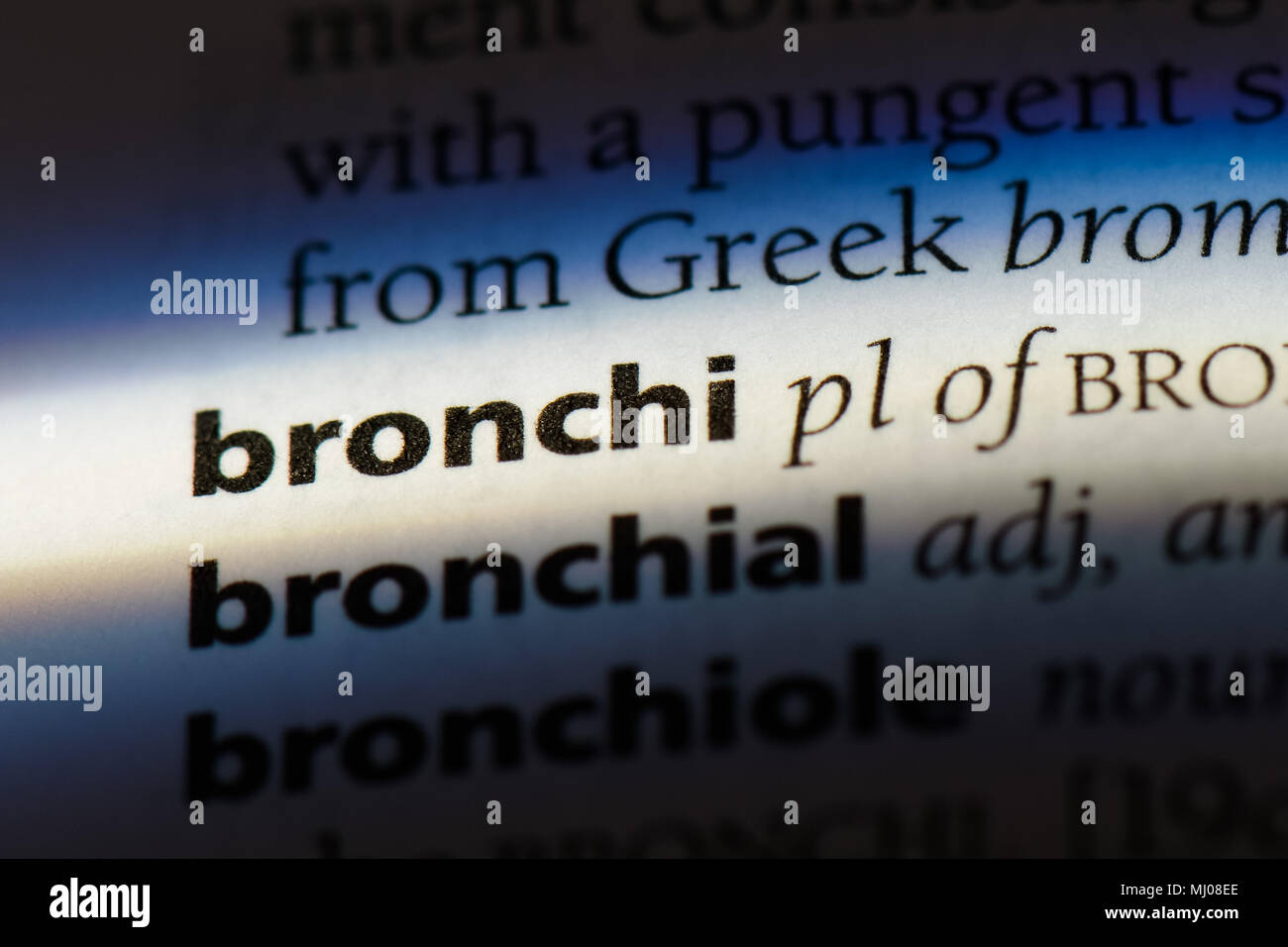 Bronchi Close Up High Resolution Stock Photography and Images - Alamy