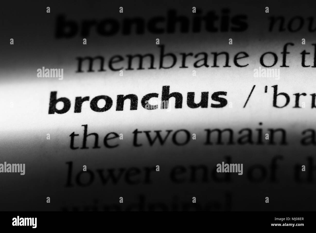 bronchus word in a dictionary. bronchus concept Stock Photo - Alamy