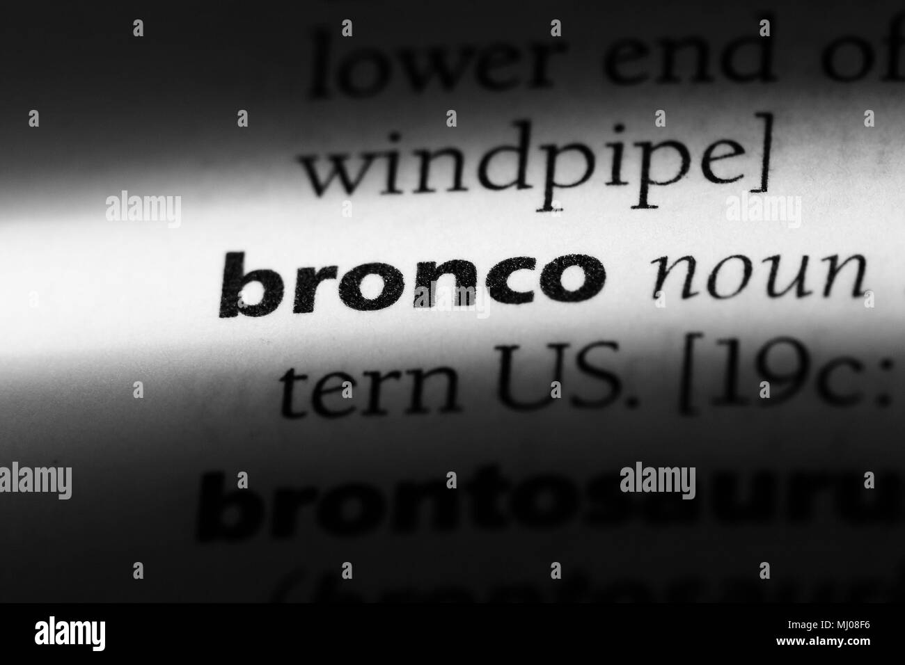 bronco word in a dictionary. bronco concept Stock Photo - Alamy
