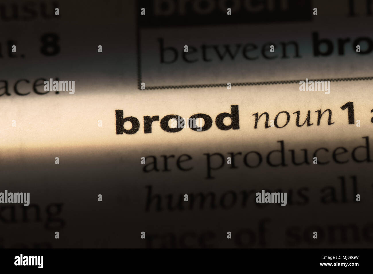 brood word in a dictionary. brood concept Stock Photo - Alamy