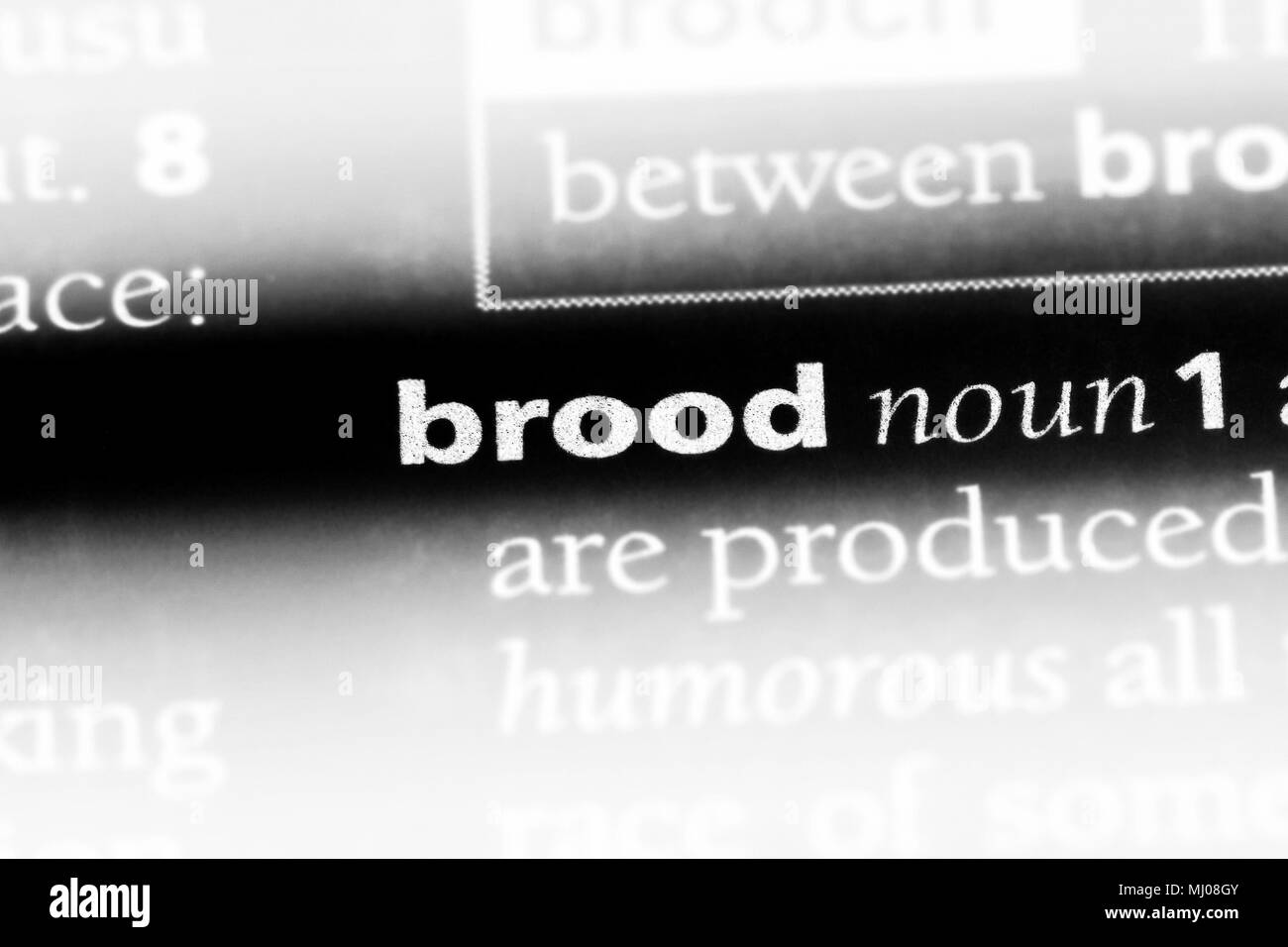 Brood Definition Brood XIX Wikipedia