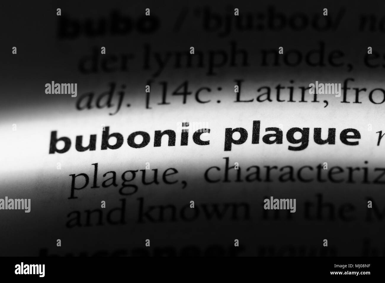 Bubonic High Resolution Stock Photography and Images - Alamy