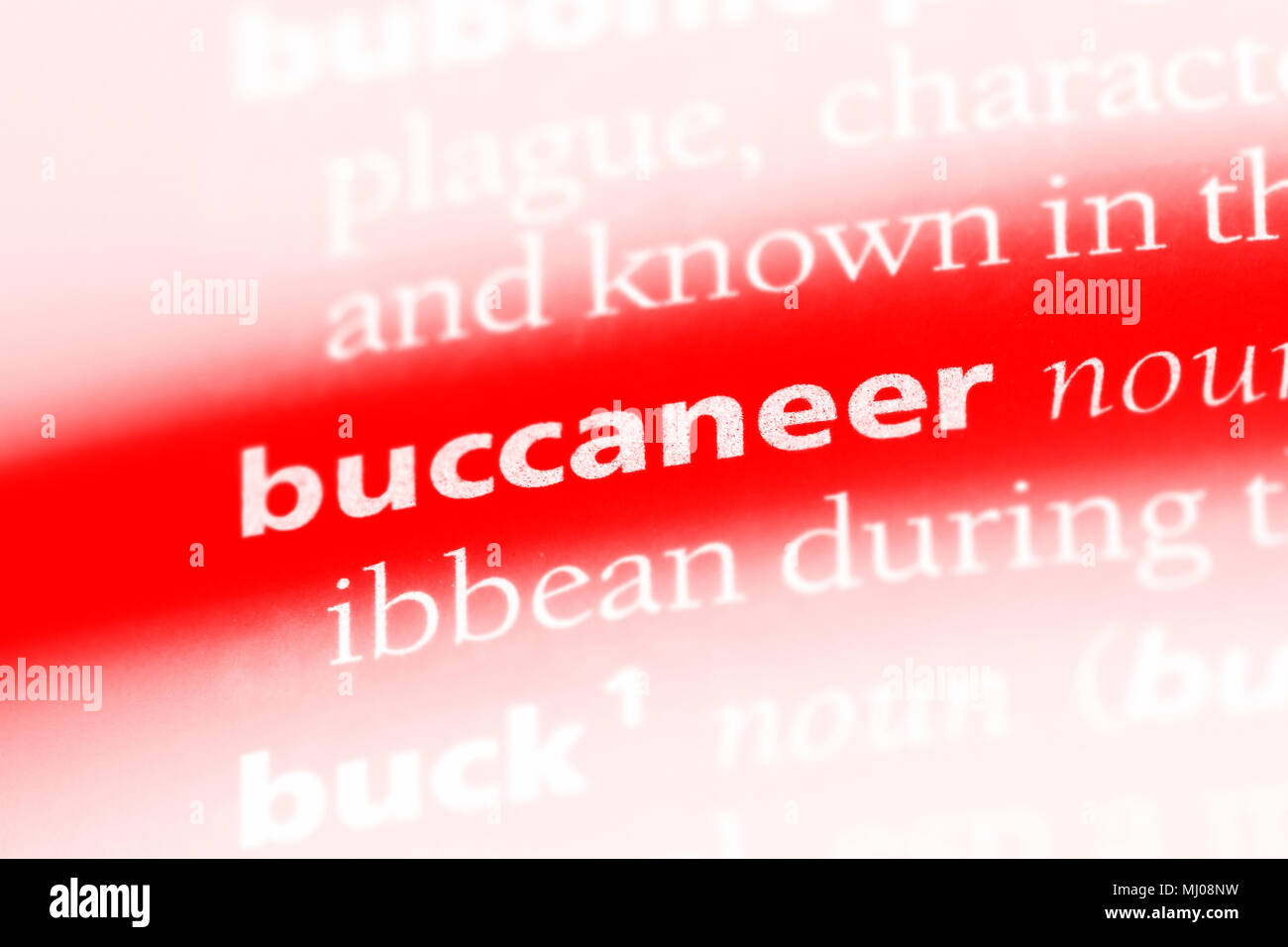 buccaneer word in a dictionary. buccaneer concept Stock Photo - Alamy