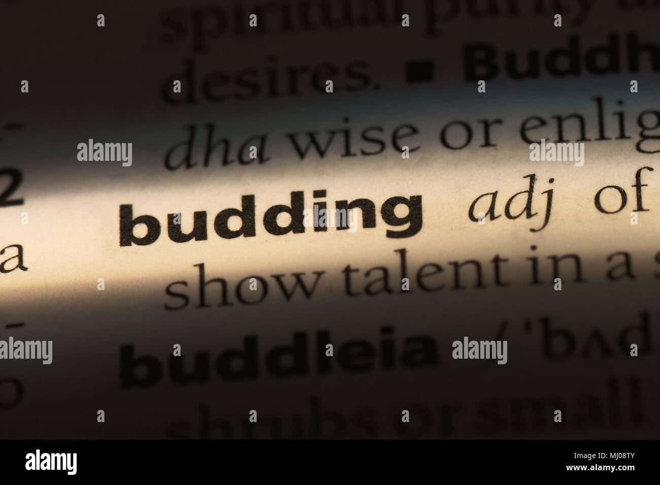 budding word in a dictionary. budding concept Stock Photo - Alamy