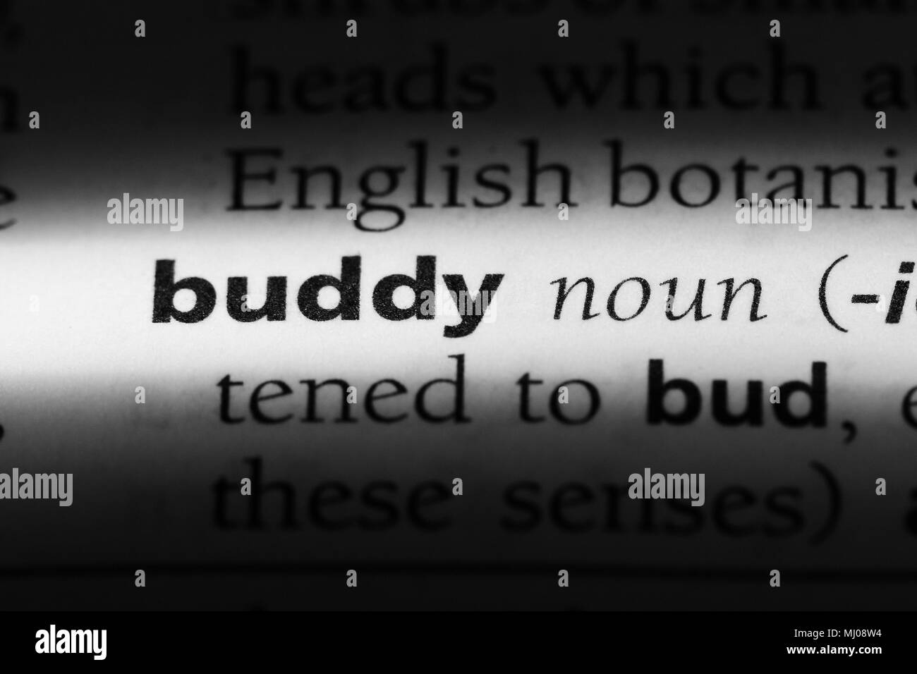 buddy word in a dictionary. buddy concept Stock Photo - Alamy