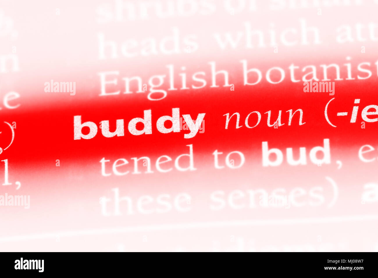 buddy word in a dictionary. buddy concept Stock Photo - Alamy