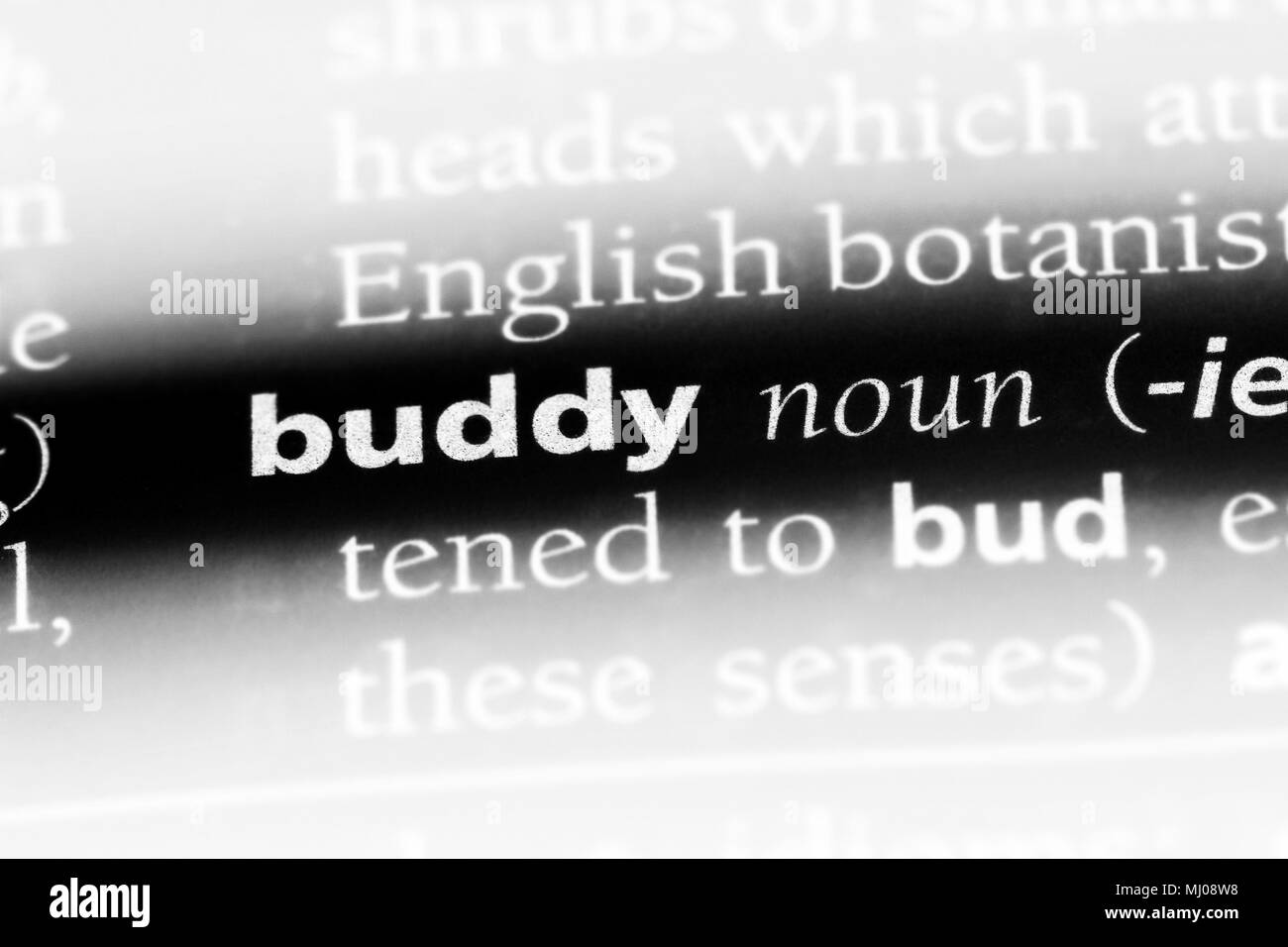 buddy word in a dictionary. buddy concept Stock Photo - Alamy