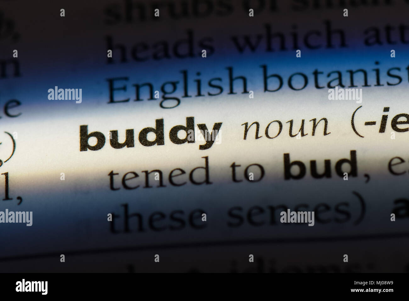 buddy word in a dictionary. buddy concept Stock Photo - Alamy
