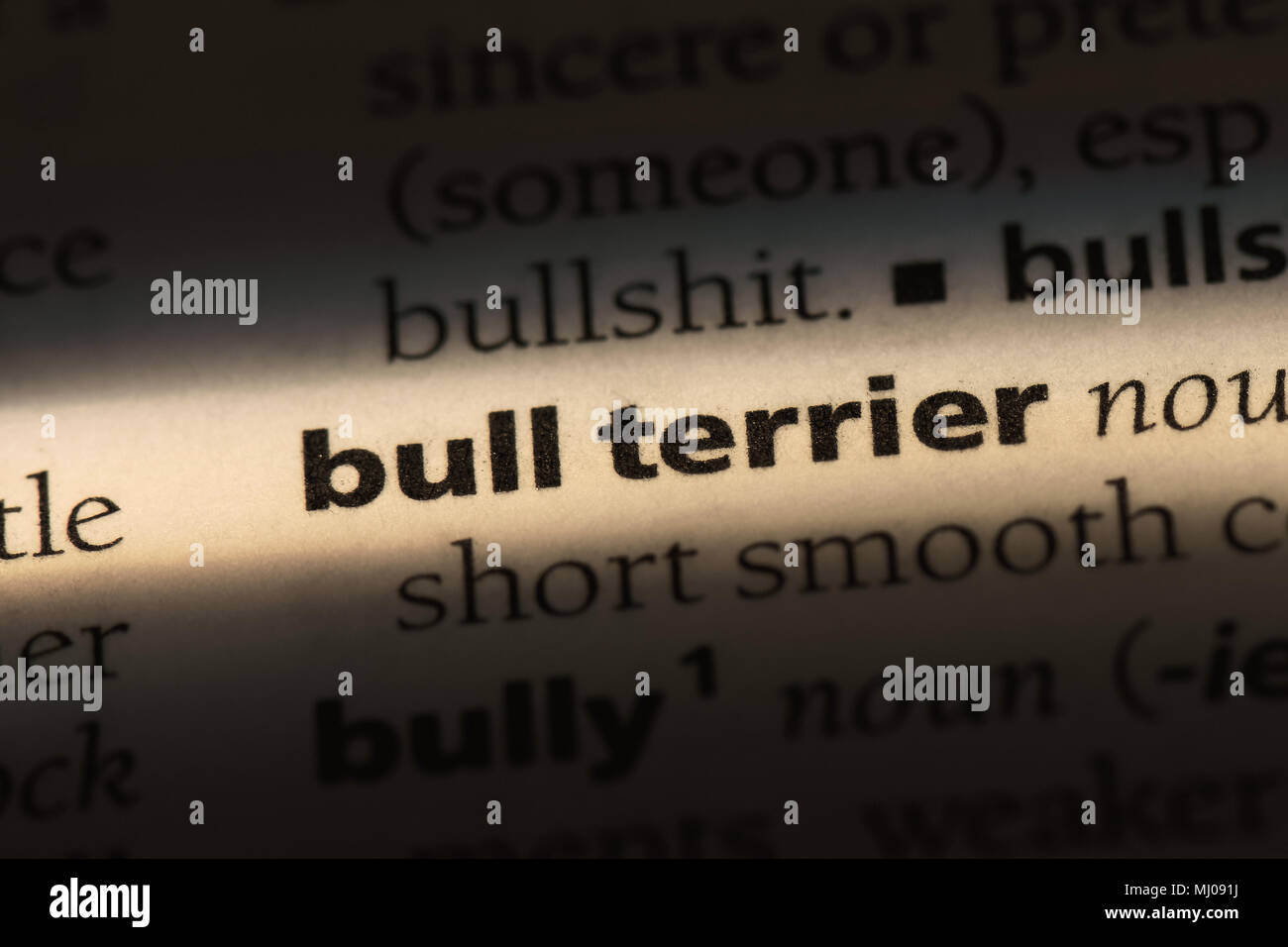 bull terrier word in a dictionary. bull terrier concept Stock Photo - Alamy