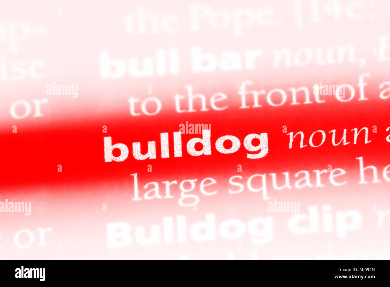bulldog word in a dictionary. bulldog concept Stock Photo - Alamy