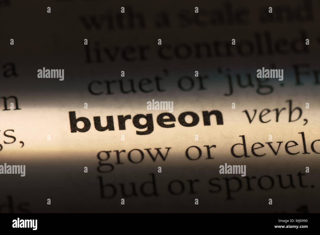 burgeon word in a dictionary. burgeon concept Stock Photo - Alamy